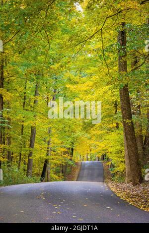 Curvy Road in Clifty Creek Park, Southern Indiana Stock Photo - Alamy
