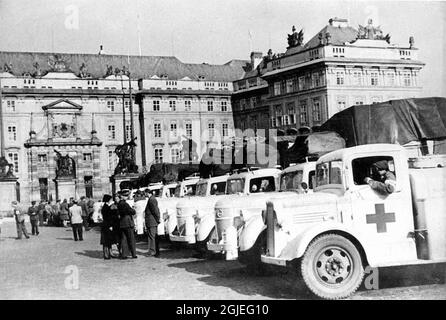 Count Folke Bernadotte, Swedish Red Cross Chairman from 1946 Stock ...