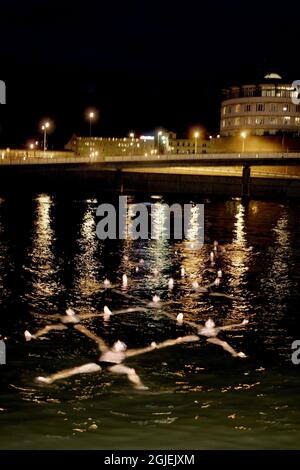 The Swedish men's synchronized swimming team in action during training ...