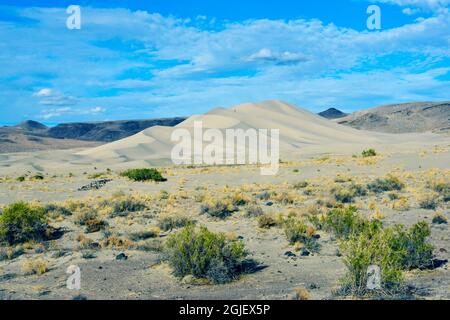 USA, Nevada, Fallon. Sand Mountain Recreation Area and scenic dunes ...