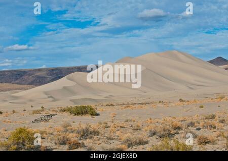 USA, Nevada, Fallon. Sand Mountain Recreation Area and scenic dunes ...