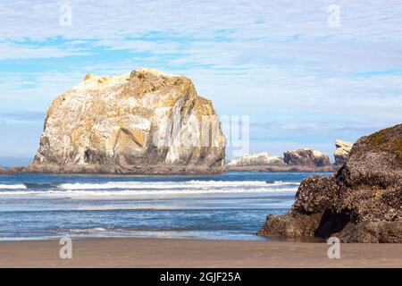 Bandon Beach sea stacks in the late afternoon fog, Bandon, Oregon, USA ...