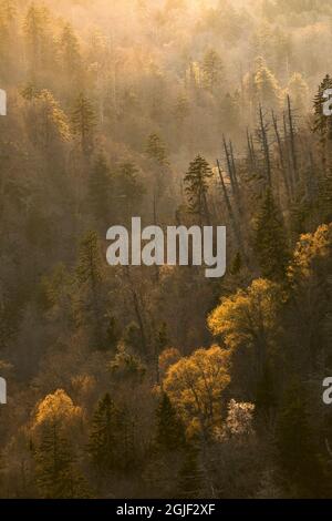Spring sunset from Morton Overlook, Great Smoky Mountains, National ...