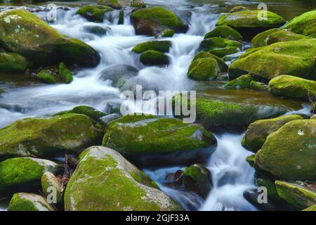Water Falling over Boulders on Roaring Fork Motor Nature Trail Stock ...