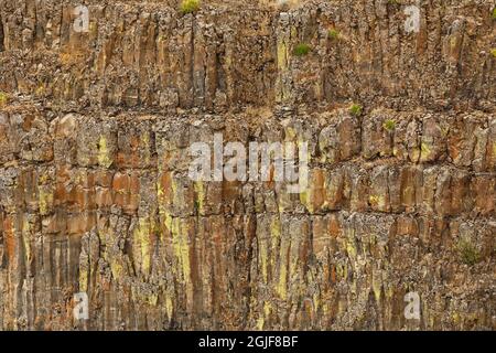 Pattern on basalt cliffs, Palouse Falls State Park, Franklin, Whitman ...