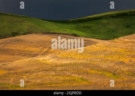 Fallow field and storm clouds, Palouse, eastern Washington Stock Photo ...