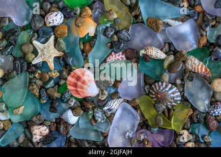 USA, Washington State, Seabeck. Starfish and beach glass close-up Stock ...