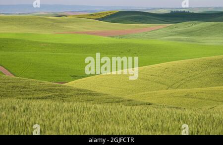 Layers of different colors in the Palouse region of Washington State ...