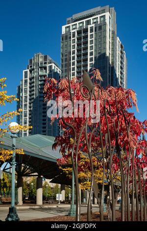 USA, Washington State, Bellevue. Office building downtown at dusk Stock ...