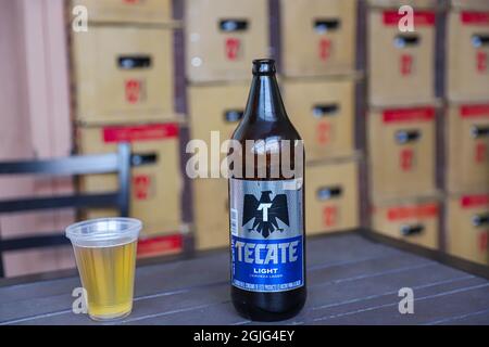 Loggerhead tecate, beer, cartons of loggerhead, Tecate beer. Cuauhtemoc ...