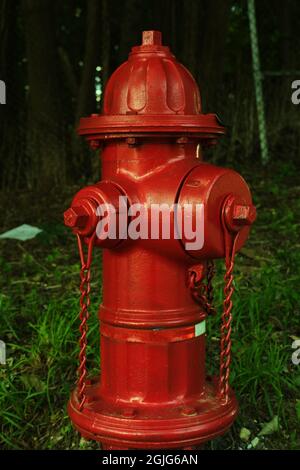 Red American fire hydrant for use by firefighters Stock Photo - Alamy