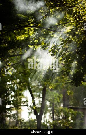beautiful sun light through smoke Stock Photo - Alamy