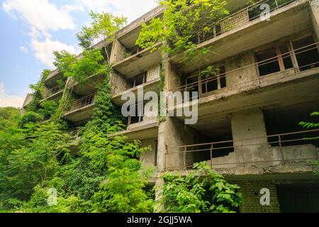 old overgrown barn overgrown with plants. High quality photo Stock ...