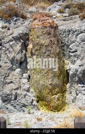 Colorful petrified trunk at the Petrified Forest of Sigri, in Lesvos ...