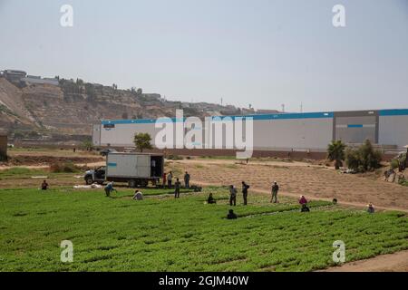 Tijuana, Mexico. 07th Sep, 2021. Amazon's new warehouse stands ...
