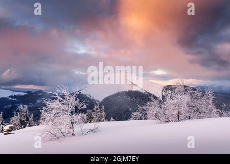 Panorama of evening snowy mountains in haze. Caucasus Mountains ...