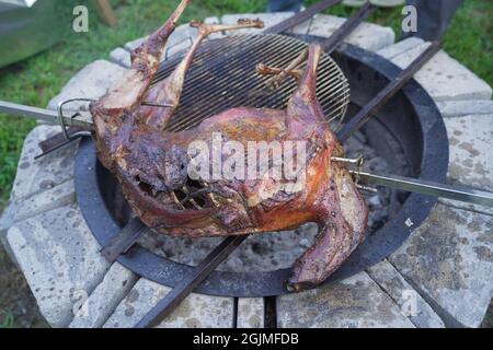 A whole goat being roasted on a wood-fired parrilla or grill by the ...