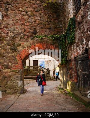 Vyborg is a town in, and the administrative center of, Vyborgsky ...