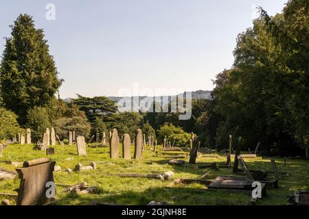 A general View of the graves and trees at Locksbrook Cemetery, Bath UK ...