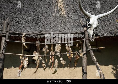 Reconstruction of a fishing settlement from the late Neolithic Vinca ...
