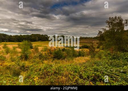 Sullington Warren near Storrington, West Sussex, UK Stock Photo - Alamy