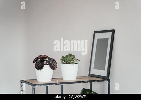 Blank wooden photo frame stands in the interior on a white background ...
