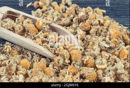 Healthy chamomile as herb using in alternative medicine. Source natural ...