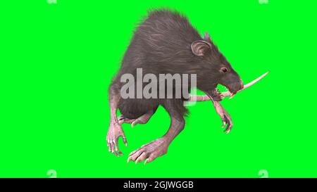 Mythical WereRat monster on chromakey background 3d render Stock Photo ...