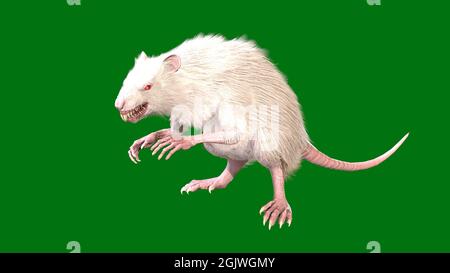 Mythical WereRat monster on chromakey background 3d render Stock Photo ...