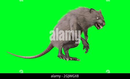 Mythical WereRat monster on chromakey background 3d render Stock Photo ...
