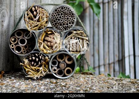 Homemade bug hotel using upcycled food tins Stock Photo - Alamy
