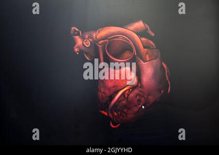 3D reconstruction from patient images, 3D printed heart Stock Photo - Alamy
