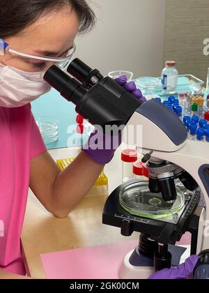 Woman observing through a microscope in a laboratory Stock Photo - Alamy