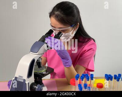 Woman observing through a microscope in a laboratory Stock Photo - Alamy