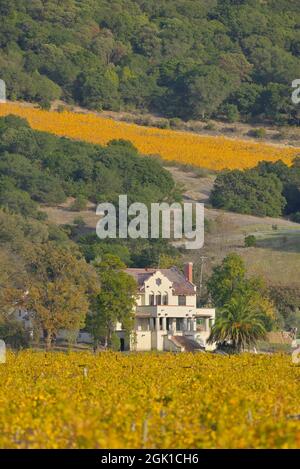 The Scribe Winery - a palm flanked Hacienda, Sonoma CA Stock Photo - Alamy