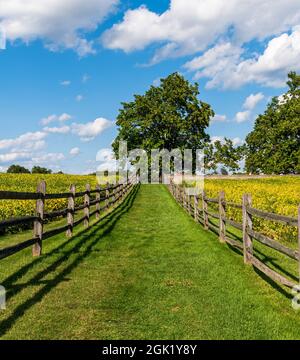 Entrance to the Mumma Cemetery, Antietam National Cemetery, Maryland ...