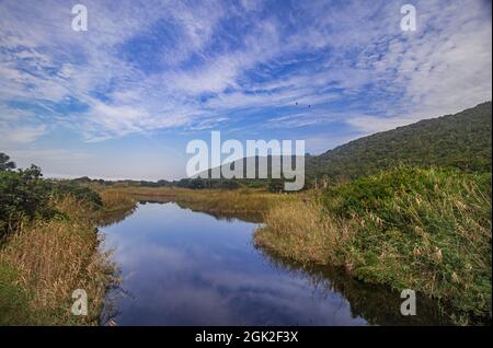 Riverine landscape of Touws River or Touwsrivier at Wilderness on the ...