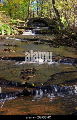 small country river stream in summer green forest with rocks and low ...