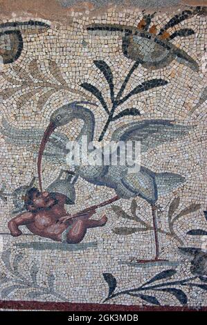 Ibis in ancient roman mosaic of Mount Nebo, Jordan Stock Photo - Alamy