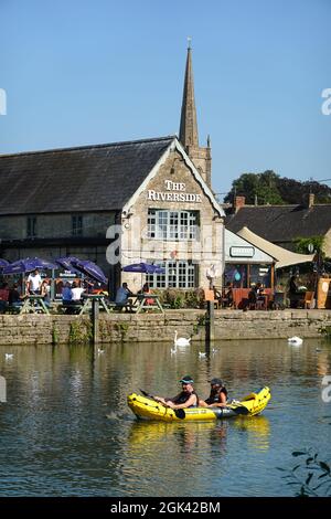 swans on the River Thames Lechlade Gloucestershire in summer Stock ...