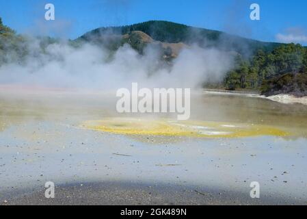 Boiling mud and sulfur springs due to volcanic activity in Wai-O-Tapu ...