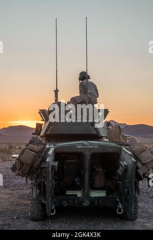 Lance Cpl. Andrew Kim, an LAV driver with Delta Company, 4th Light ...