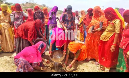 Women plant a tree on Khejdli sacrifice day (Khejadi Balidan Diwas) in ...