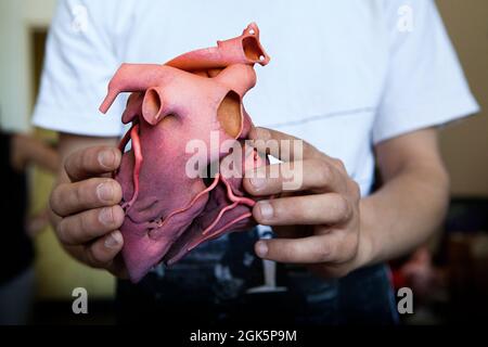 3D reconstruction from patient images, 3D printed heart Stock Photo - Alamy