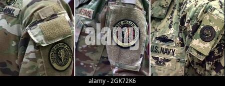 20 AUG DHA Reflagging & Repatching Ceremony #3 Stock Photo - Alamy