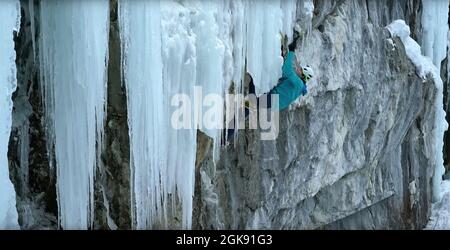 THE ALPINIST, Marc-Andre Leclerc, 2021. © Roadside Attractions ...