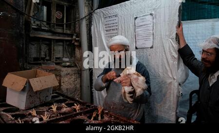 A Jewish Shochet (ritual slaughterer) slaughters chickens after they ...