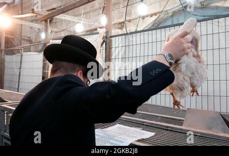 An Ultra Orthodox Jew swings a chicken over his children's heads while ...
