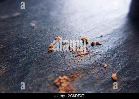 Bore dust, also known as frass, caused by emerging adult woodworm ...