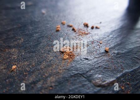 Bore dust, also known as frass, caused by emerging adult woodworm ...